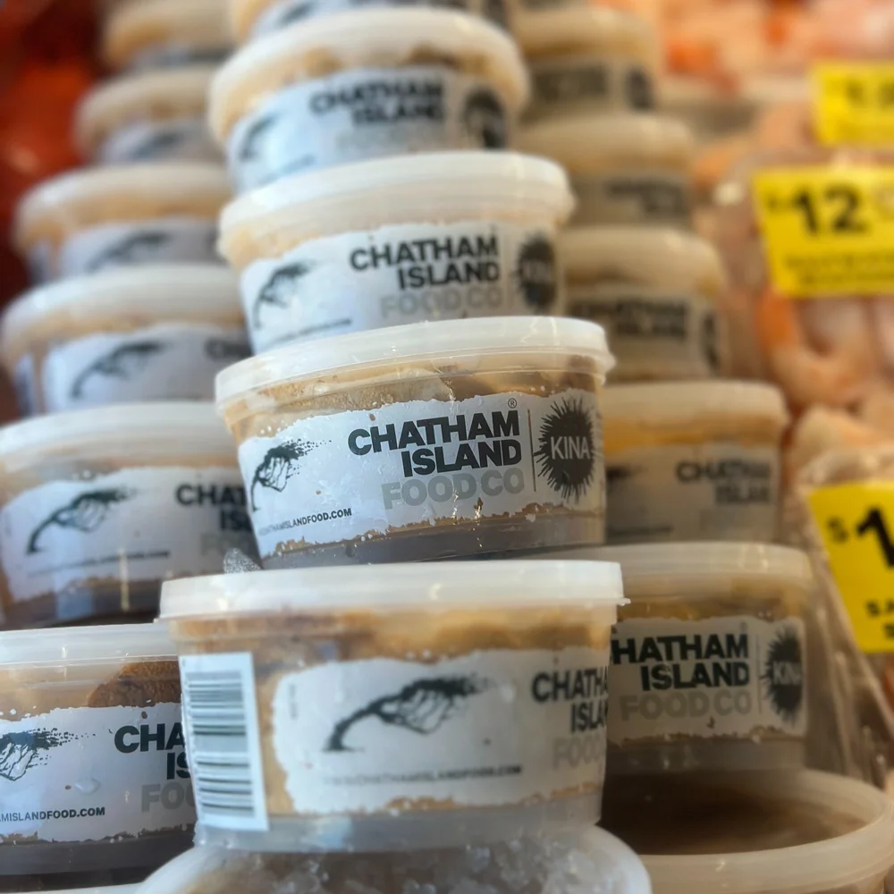 Kina — Shop Seafood — Saltwater Seafoods NZ