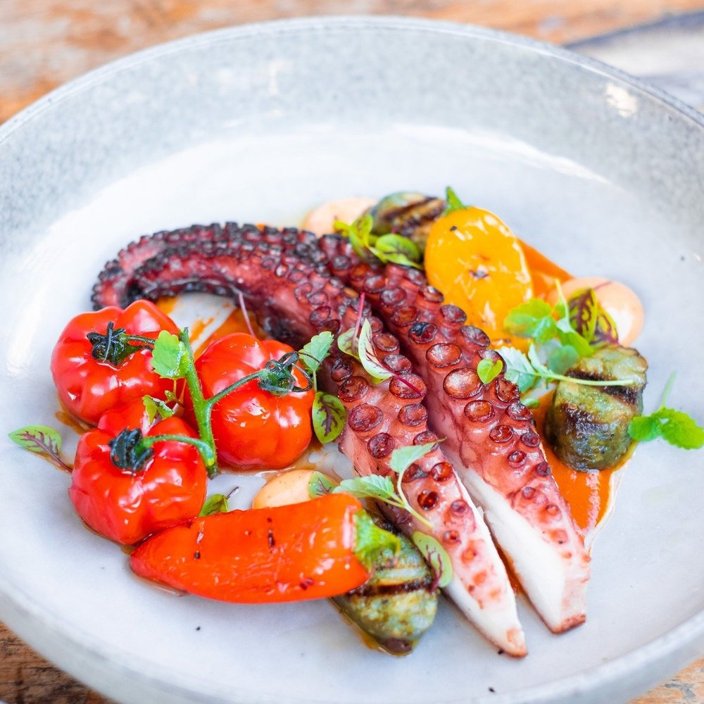 Fremantle Octopus New Zealand — Saltwater Seafoods NZ