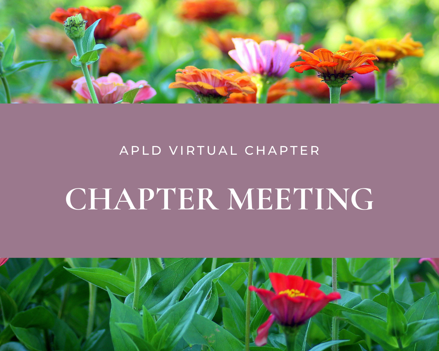 Events — APLD Virtual Chapter