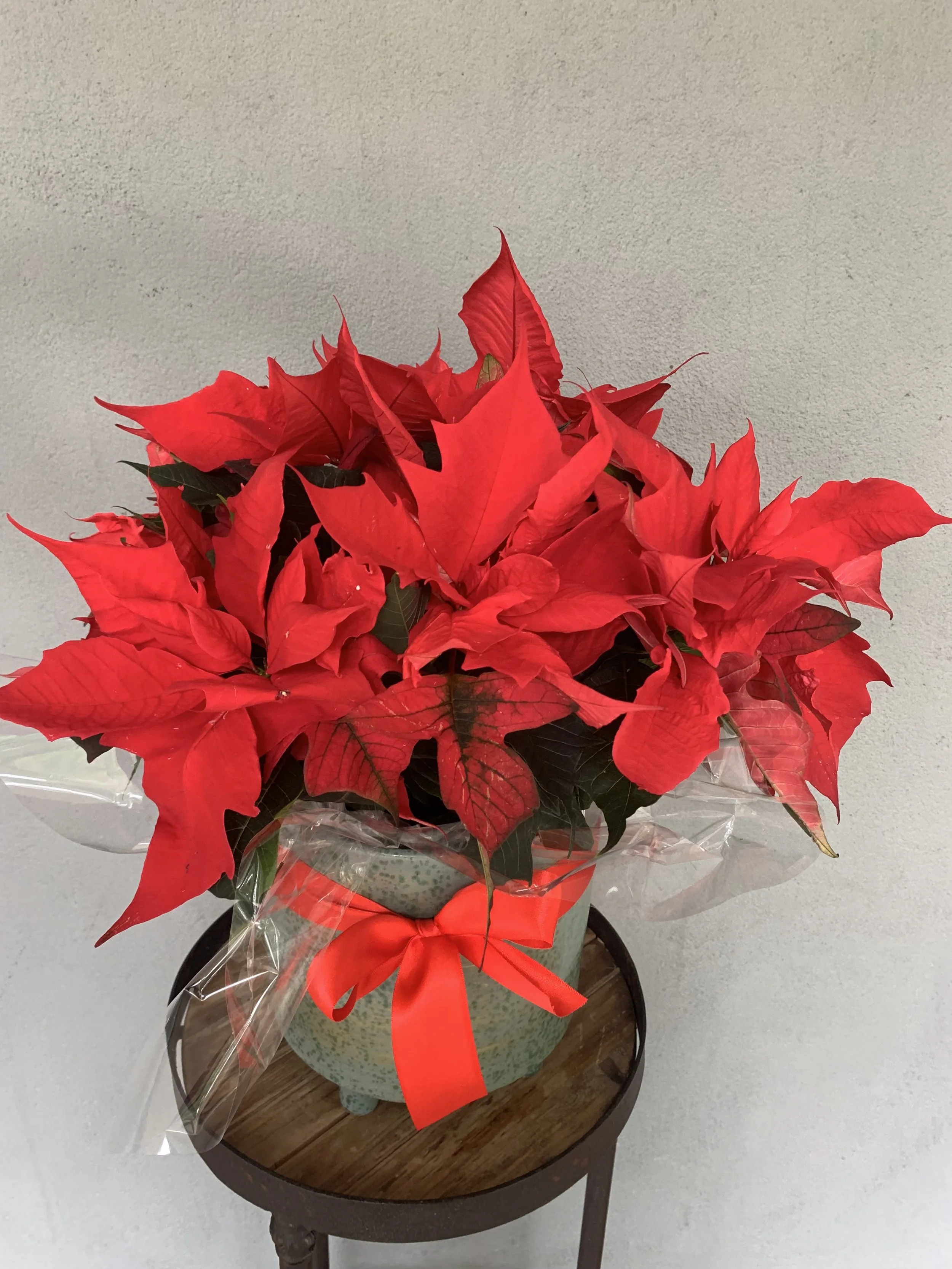 Canberra | Florist | Same day Flower delivery | Jamison