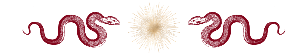 Womb Awakening & Feminine Mysteries Mentorship — Womb Awakening