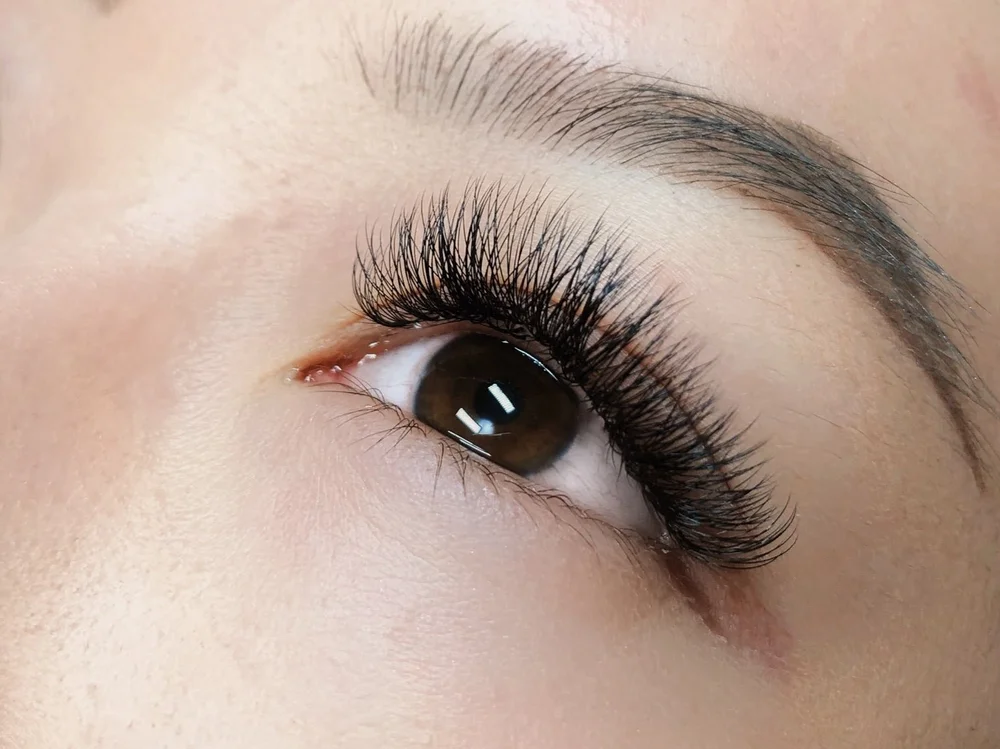 Lookbook — Contrast Lash Studio