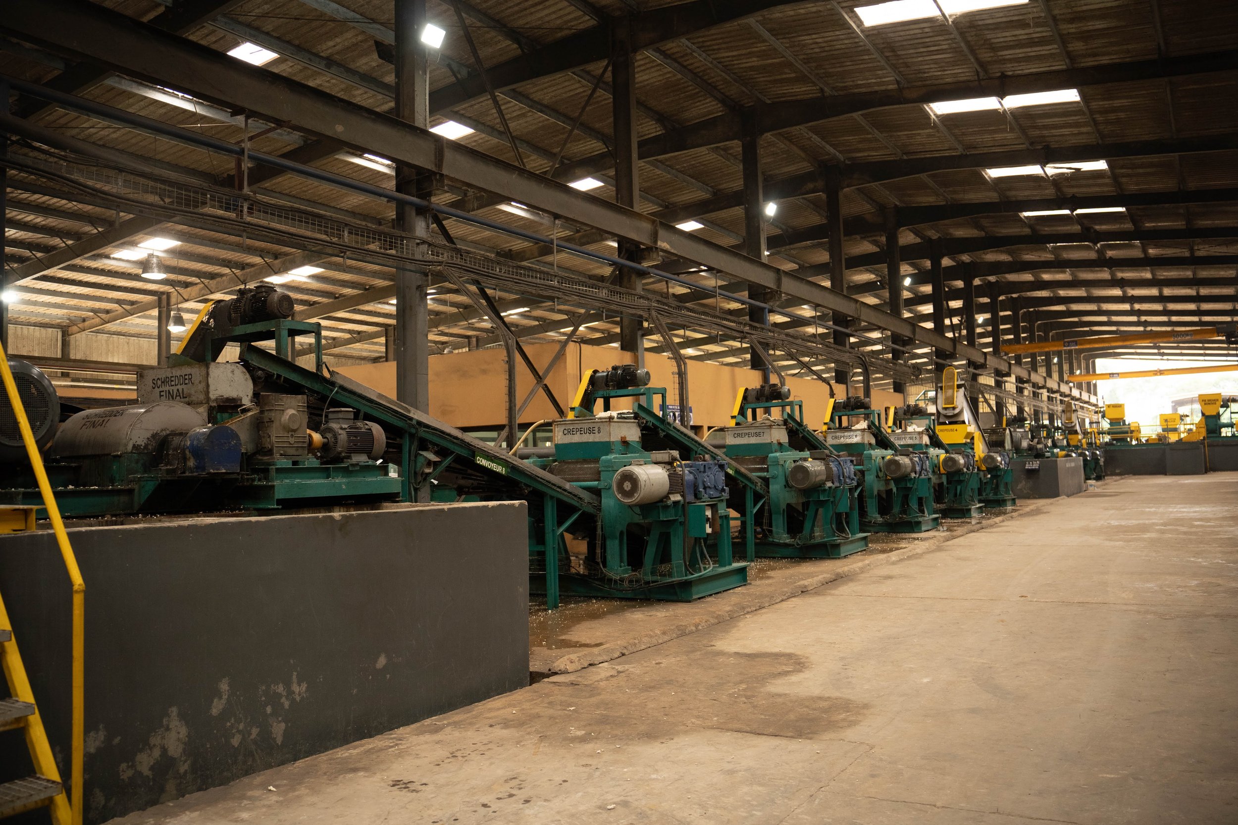 Origins — Tropicore