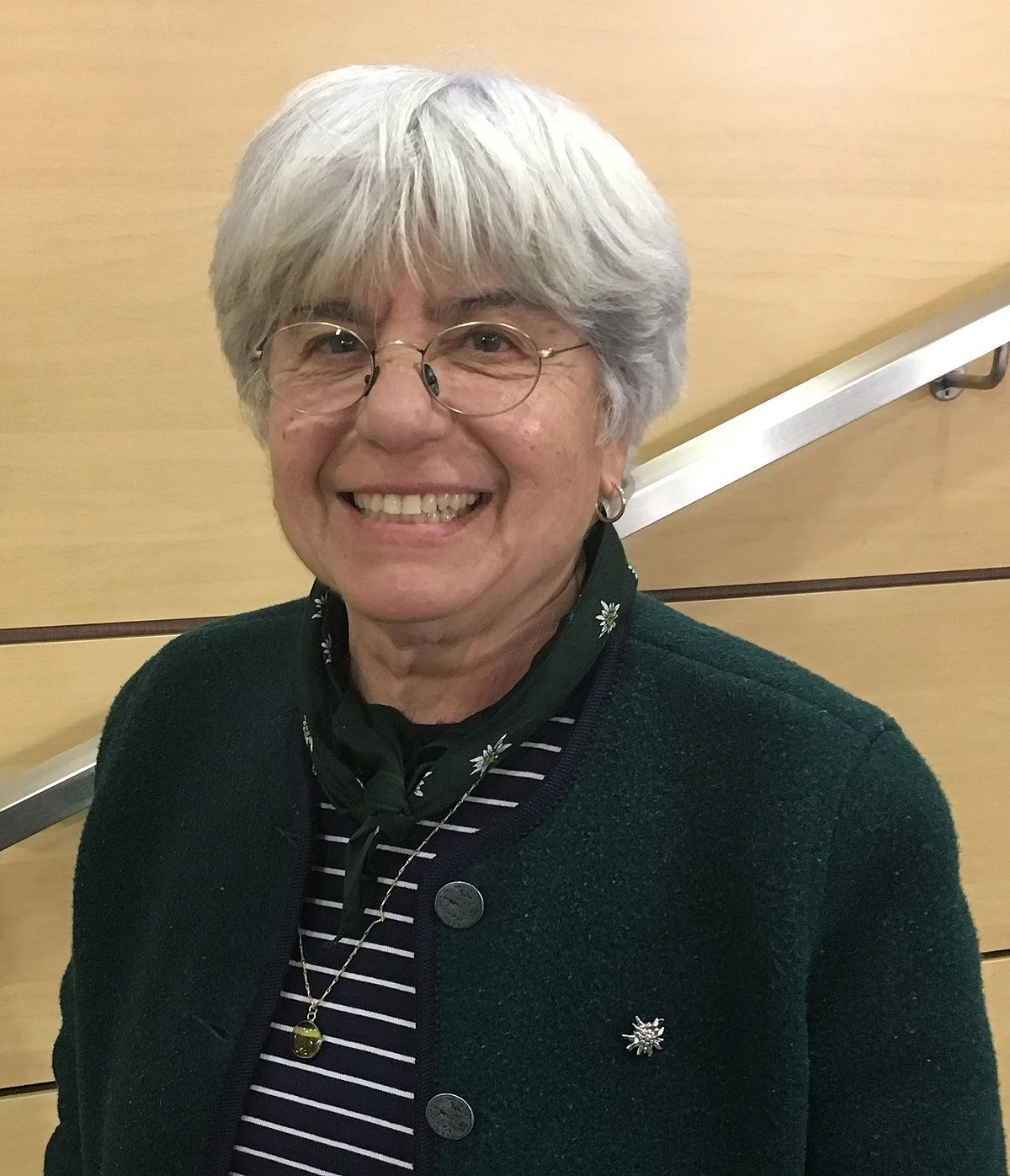 La marcha de los hurones y otros poemas — Insularis Magazine