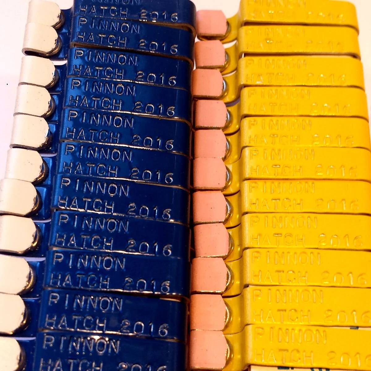 Wing Bands | Customized Zip Wing Bands | Identification Wing ID Tags ...