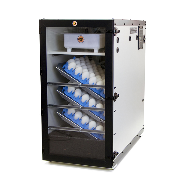 1500 Digital Professional Incubator | High Quality | Long Lasting ...