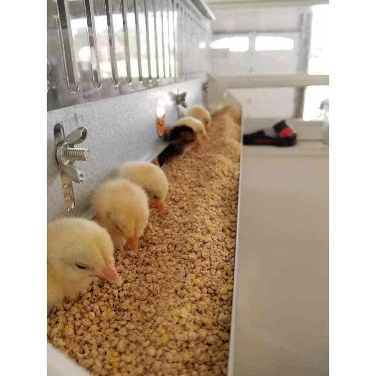 0540 - Deck Game Bird/Poultry Battery Brooder | Your One Stop Poultry ...