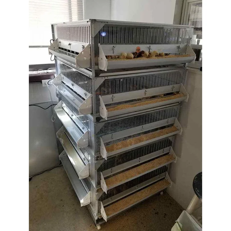 0703 - Brooder, Poultry +2 Expanded Grow Pens | Your One Stop Poultry ...