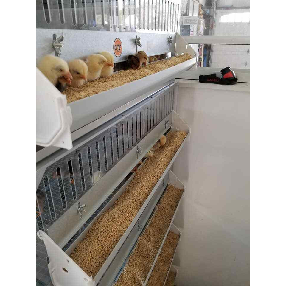 0703 - Brooder, Poultry +2 Expanded Grow Pens | Your One Stop Poultry ...