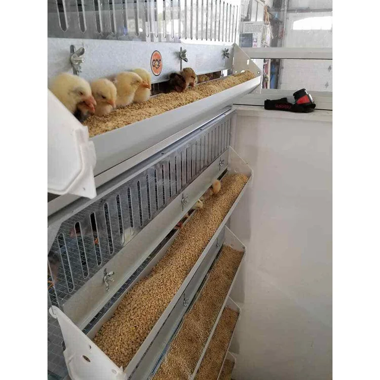 0703 - Brooder, Poultry +2 Expanded Grow Pens | Your One Stop Poultry ...