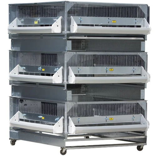 0540 - Deck Game Bird/Poultry Battery Brooder | Your One Stop Poultry ...