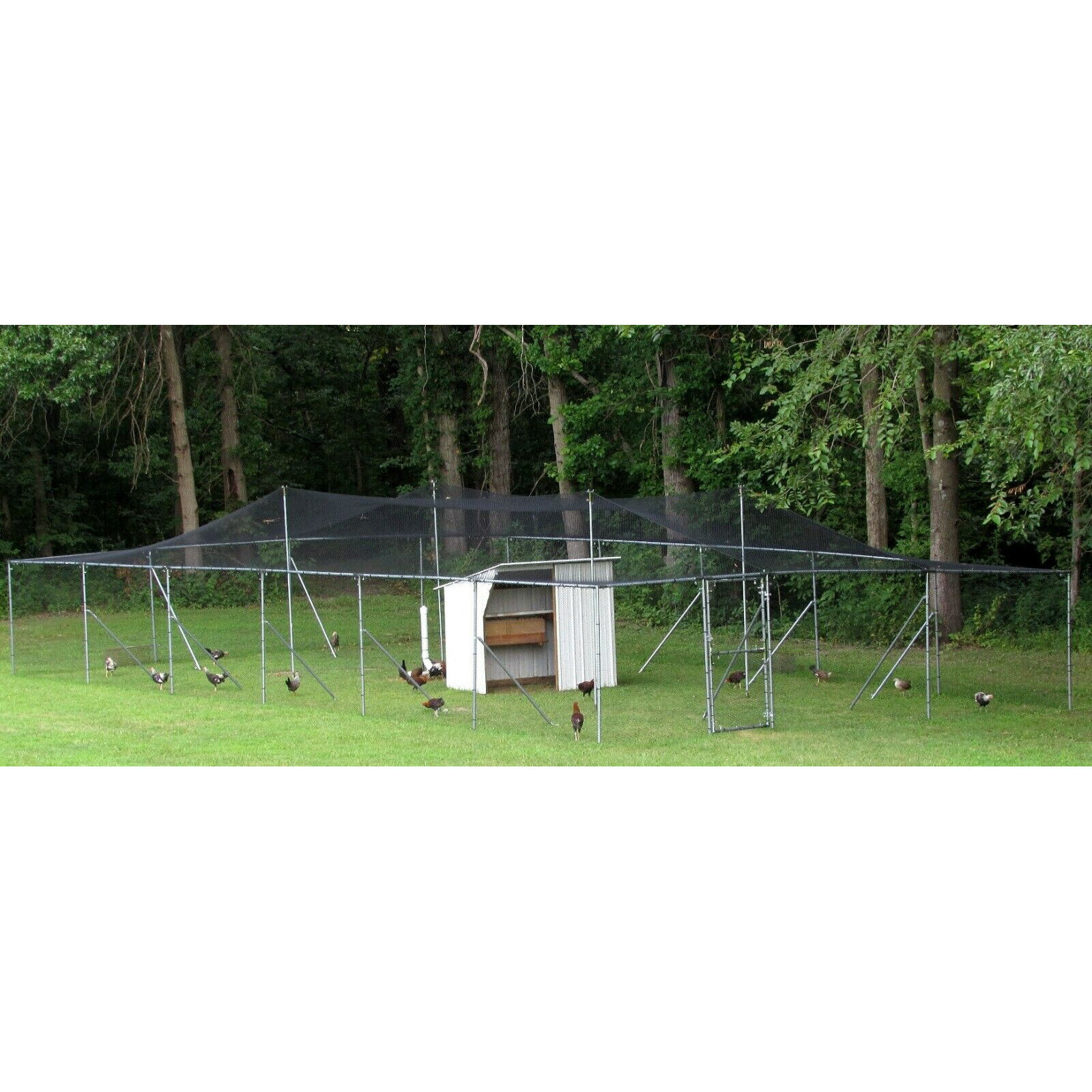 Movable Chicken Run Coop | 10ft x 10ft | Designed To Be Easily Moved ...
