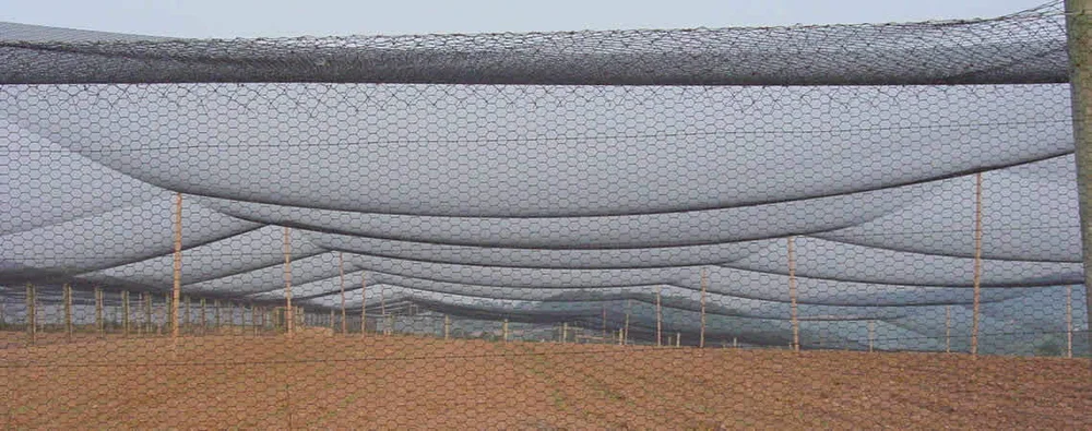 25ft x 25ft Heavy Knotted Poultry Netting (1"Mesh) | Your One Stop ...
