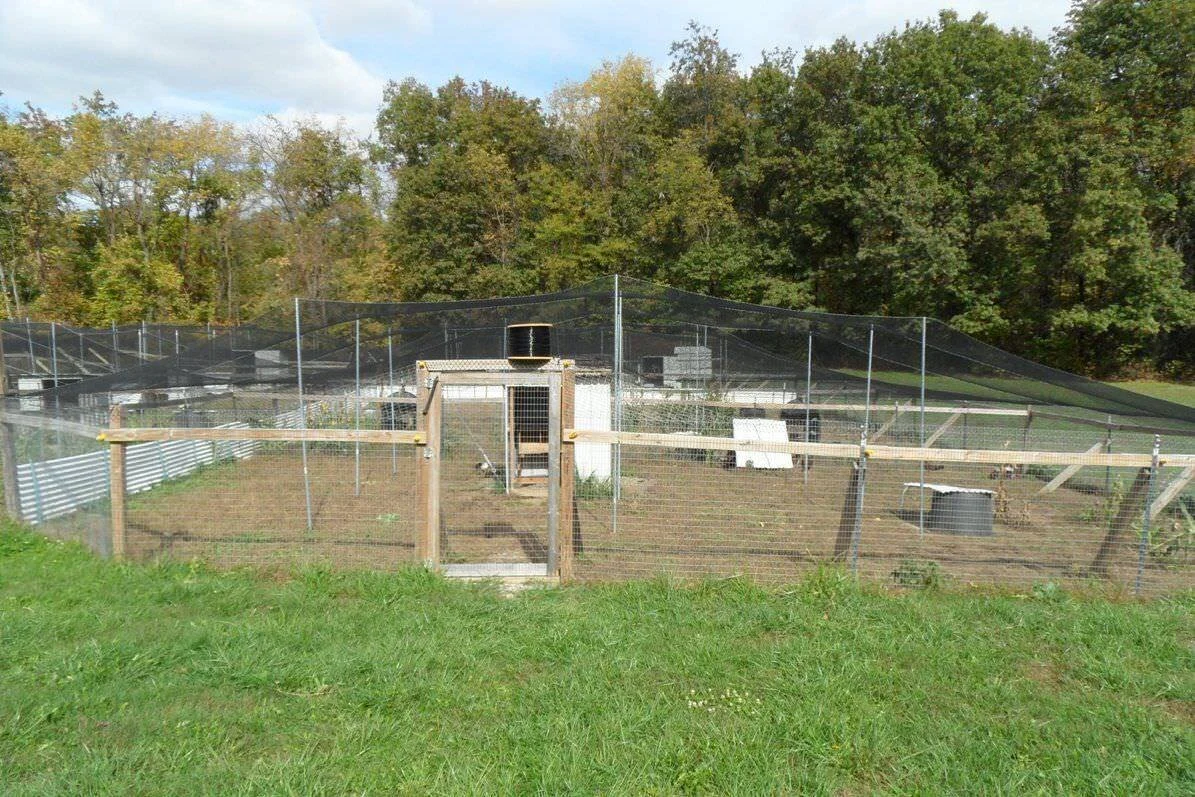 Heavy Knotted Poultry Netting (1"Mesh) | UV Stabilized for long life ...