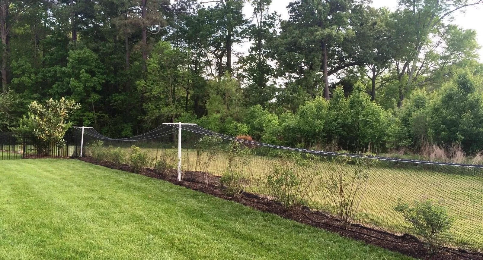 25ft x 25ft Heavy Knotted Poultry Netting (1"Mesh) | Your One Stop ...