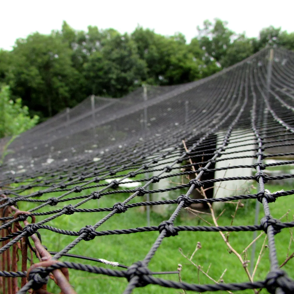 Heavy Knotted Poultry Netting (1"Mesh) | UV Stabilized for long life ...