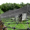 Heavy Knotted Poultry Netting (1"Mesh) | UV Stabilized for long life ...