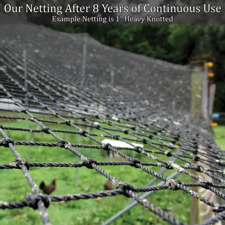 Heavy Knotted Poultry Netting (1"Mesh) | UV Stabilized for long life ...