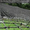 Heavy Knotted Poultry Netting (1"Mesh) | UV Stabilized for long life ...