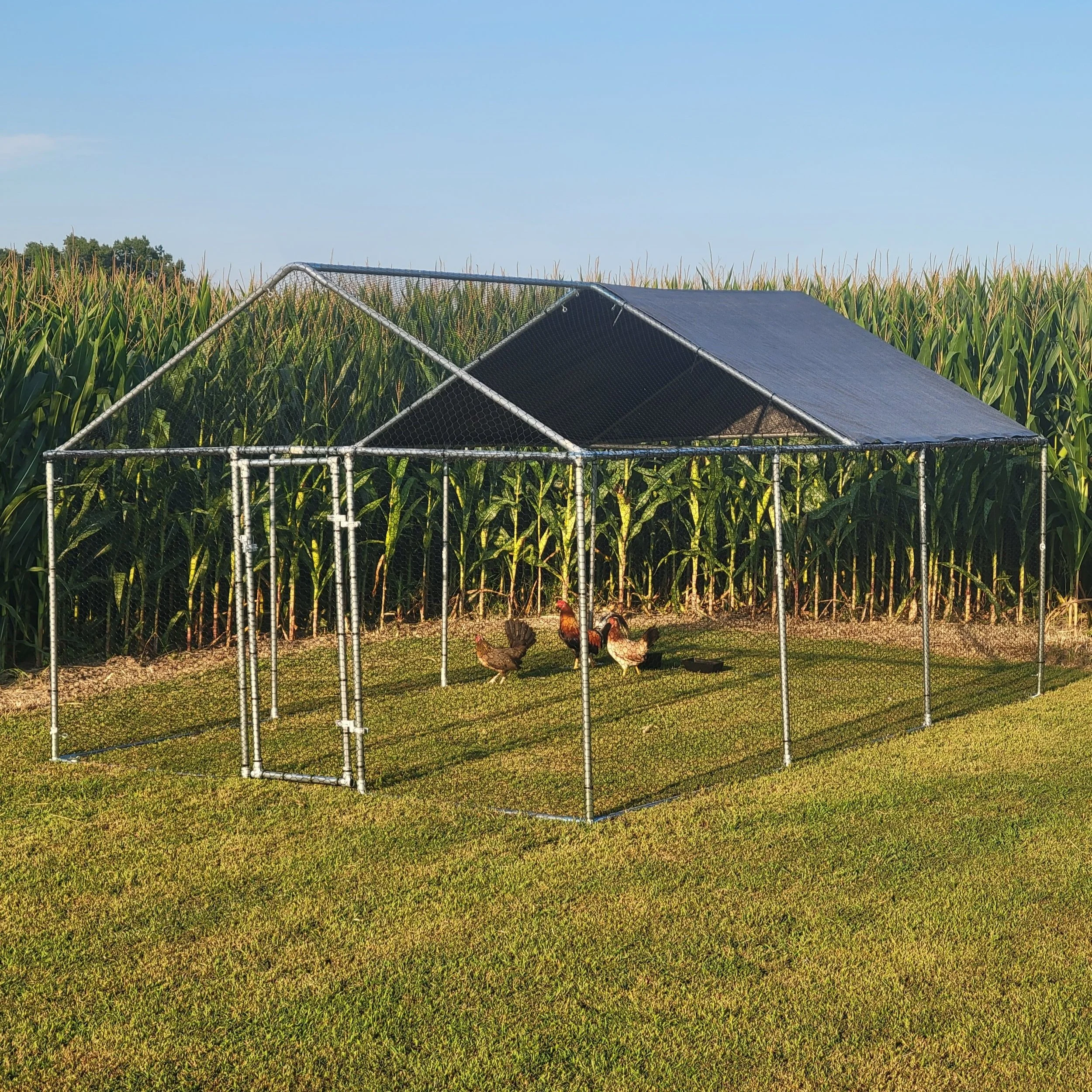 Movable Chicken Run Coop | 10ft x 20ft | Designed To Be Easily Moved ...