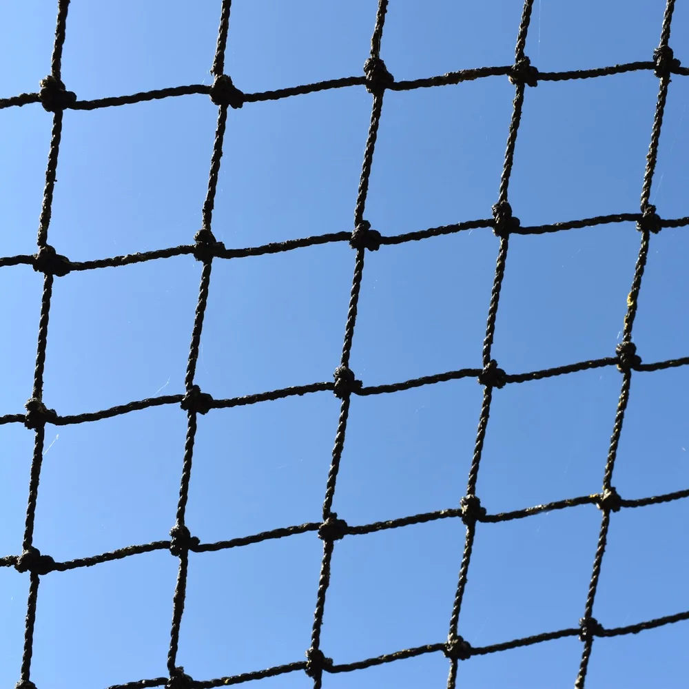 Heavy Knotted Poultry Netting (1"Mesh) | UV Stabilized for long life ...