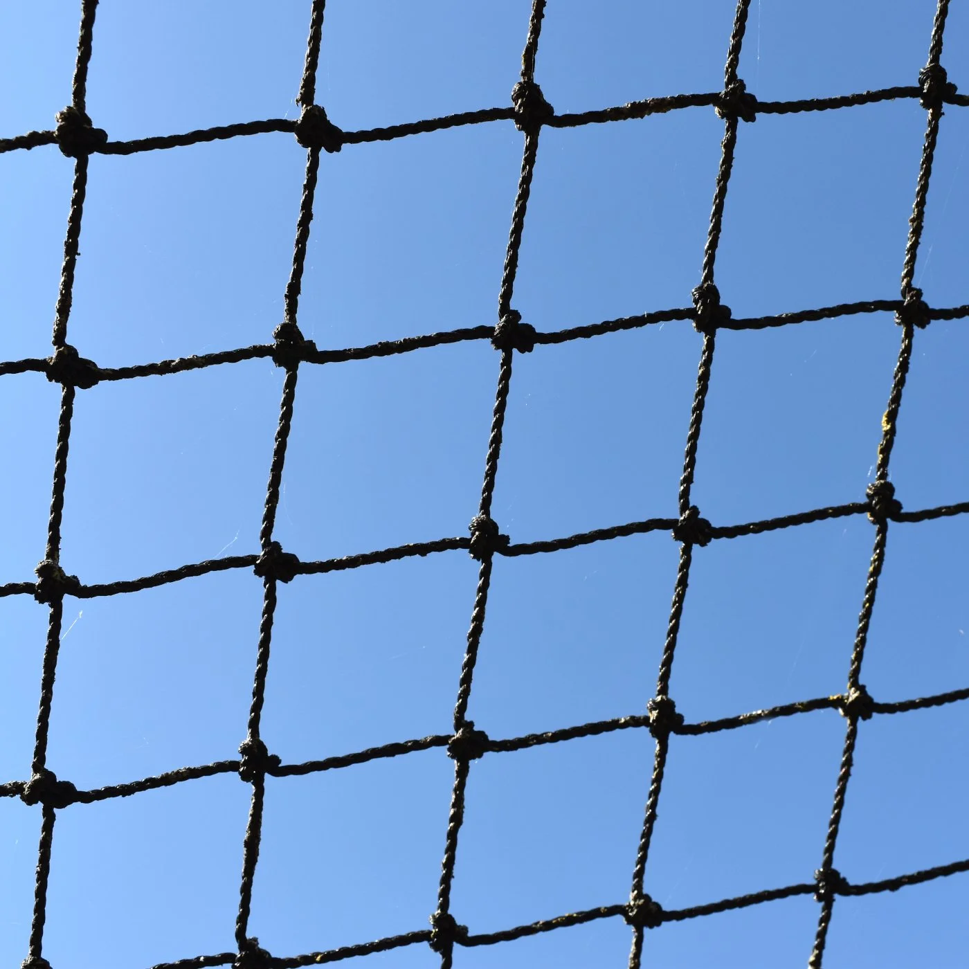 Heavy Knotted Poultry Netting (1"Mesh) | UV Stabilized for long life ...