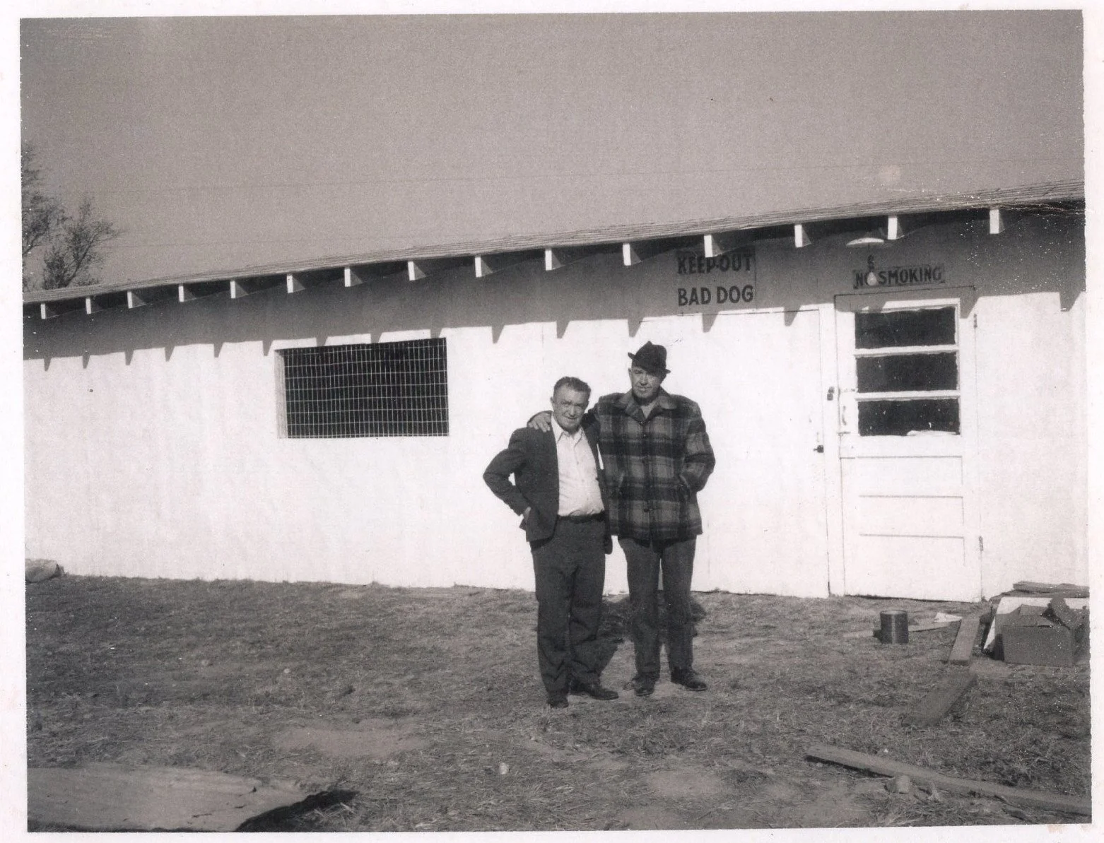 Yellow Leg Pea Comb Hatch | Pinnon Hatch Farms