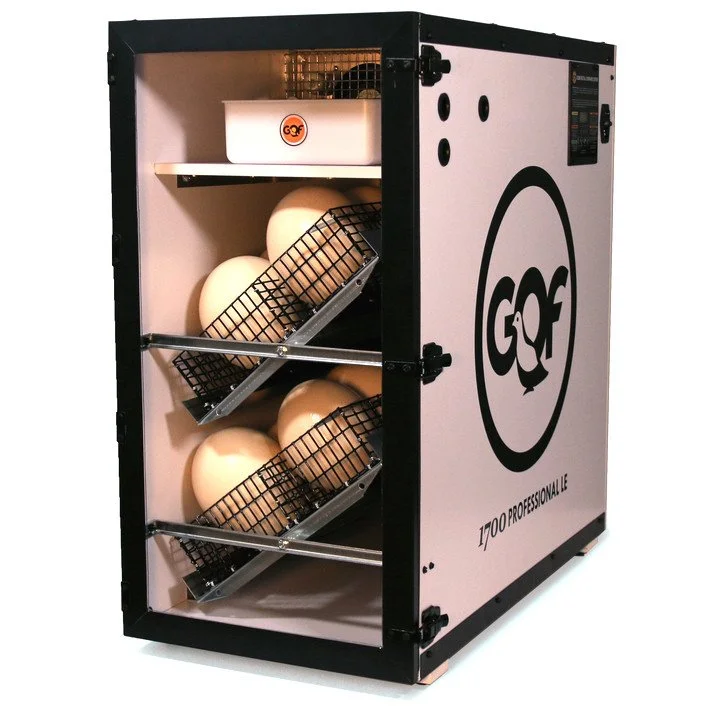 GQF Cabinet Incubators — Your One Stop Poultry Supply Shop! | Pinnon ...