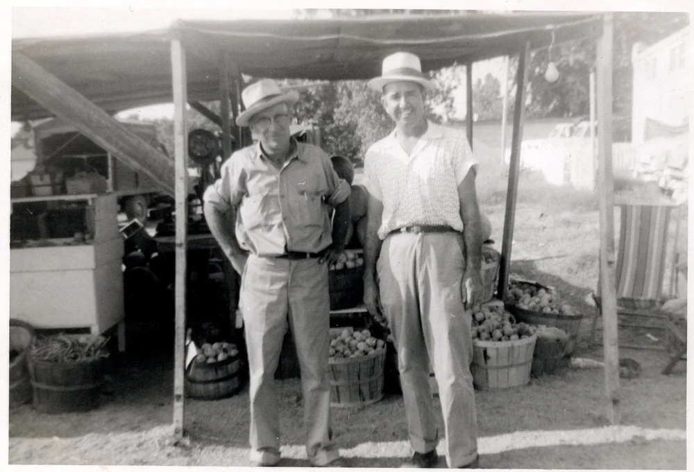 Yellow Leg Pea Comb Hatch | Pinnon Hatch Farms