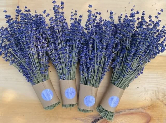 Shop | Ontario Based Dried & Fresh Lavender — Lavender Creek Farm