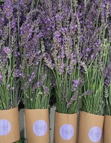 Shop | Ontario Based Dried & Fresh Lavender — Lavender Creek Farm