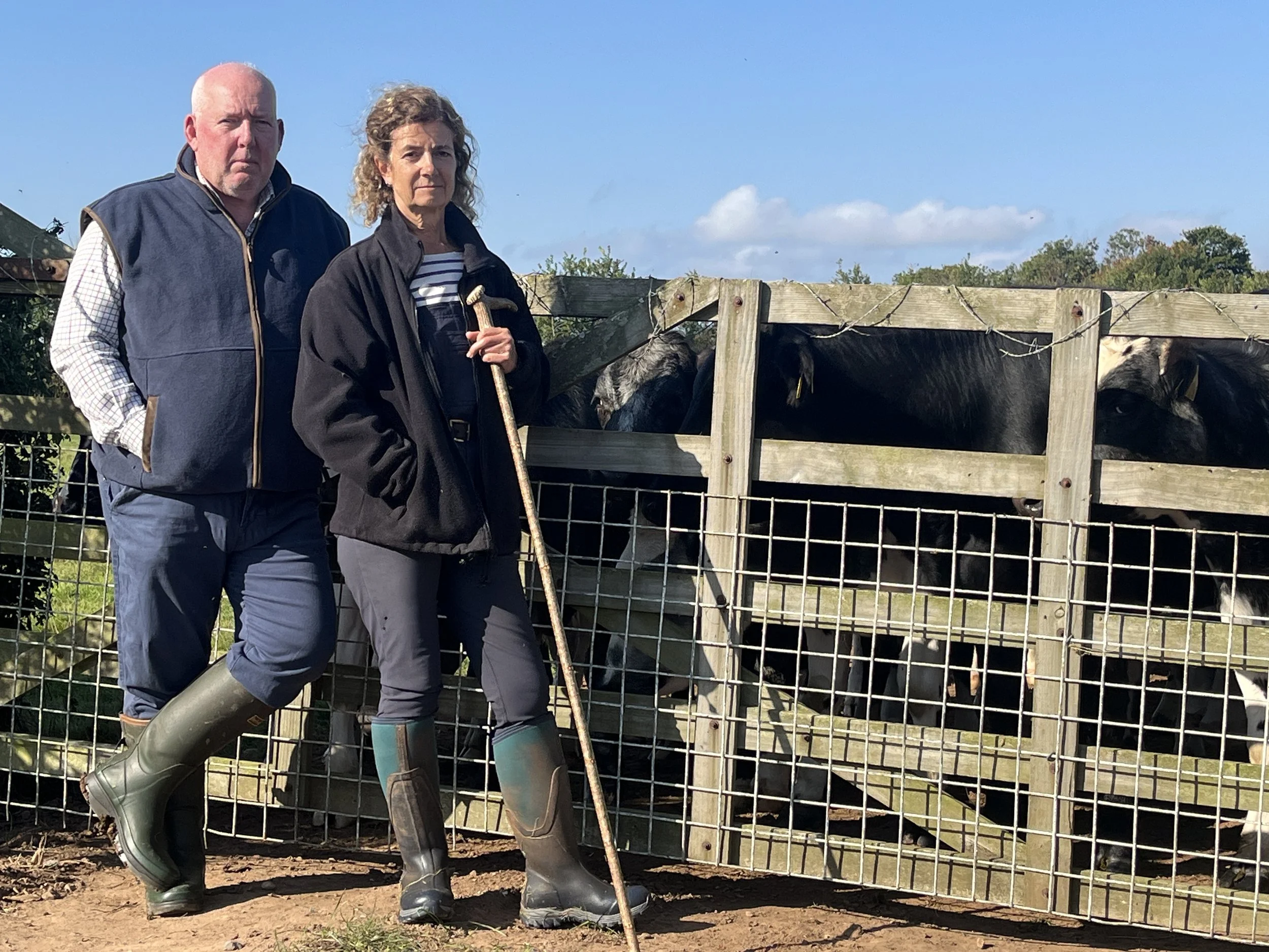 The National Trust’s Proposal to End Farming at Lower Halsdon Farm ...