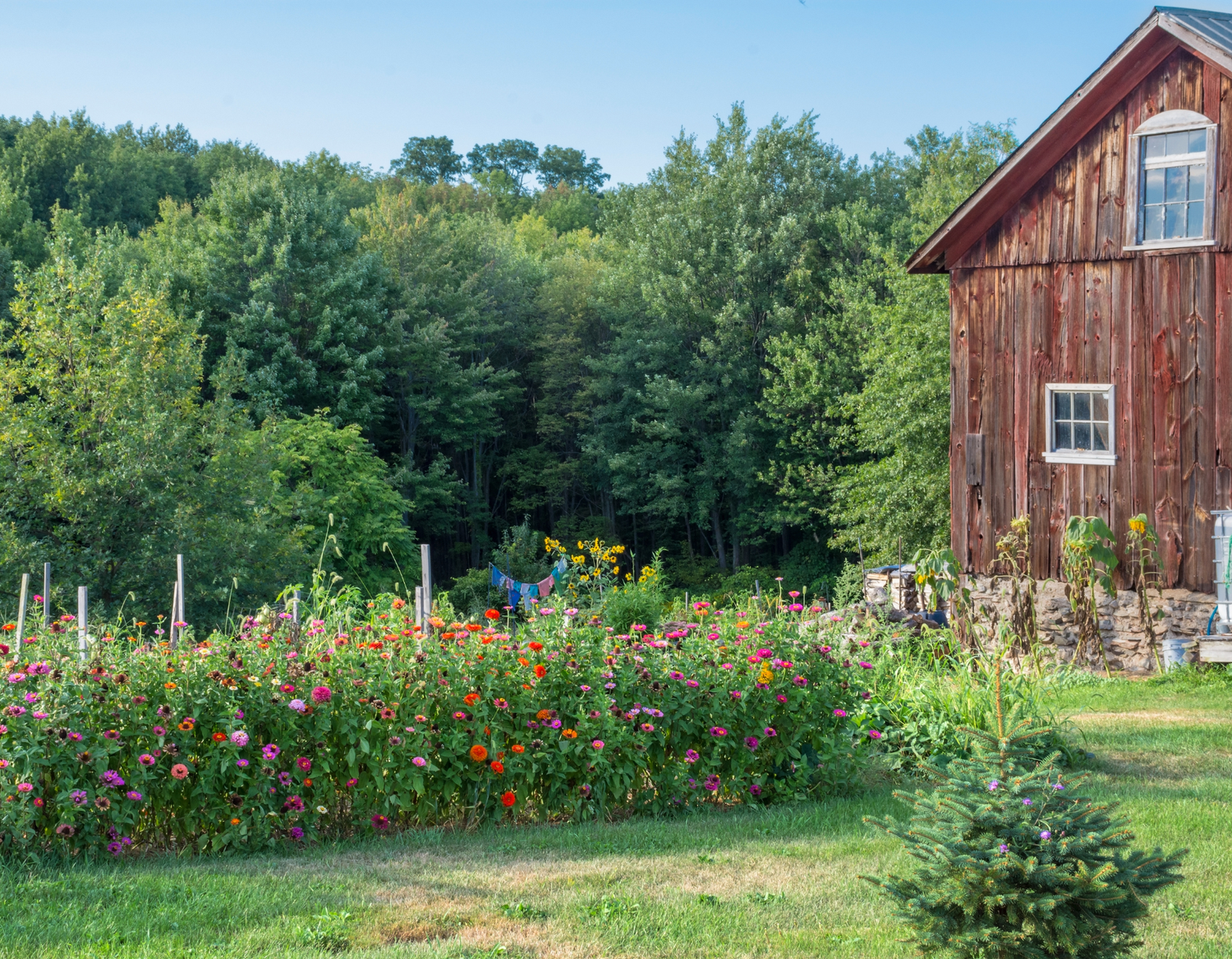 What are my homestead rights in New Hampshire and Massachusetts ...