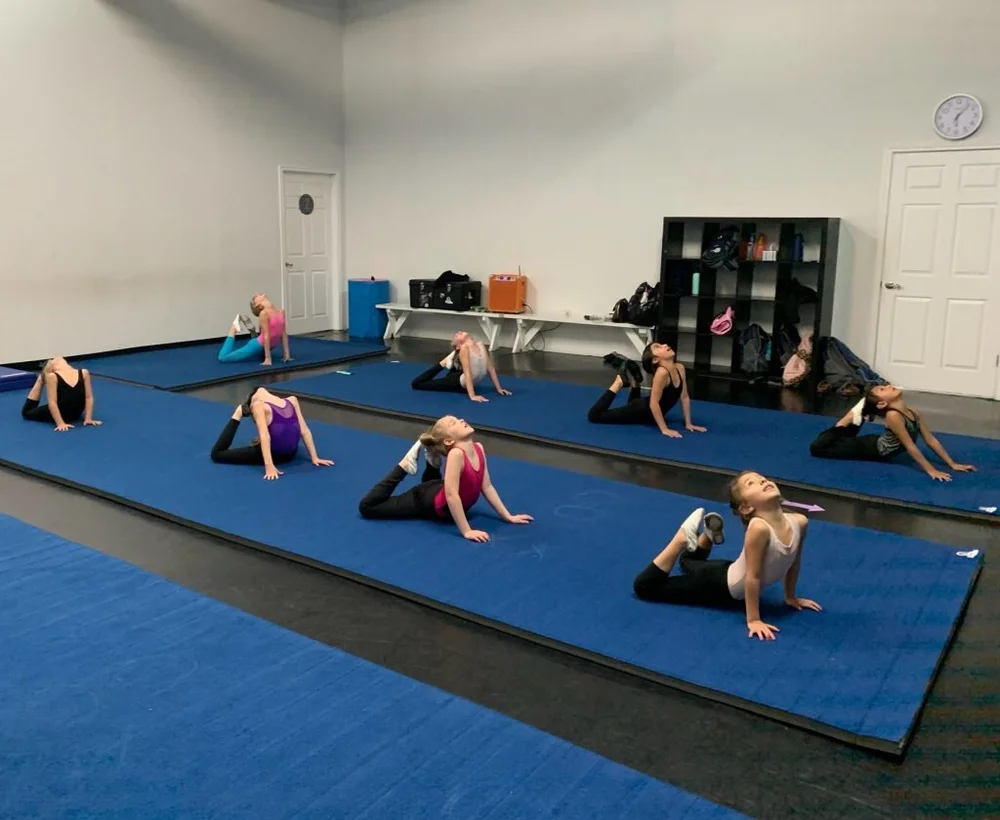 Classes — The Dance Academy