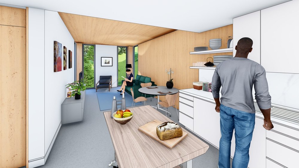 Mass Timber Housing