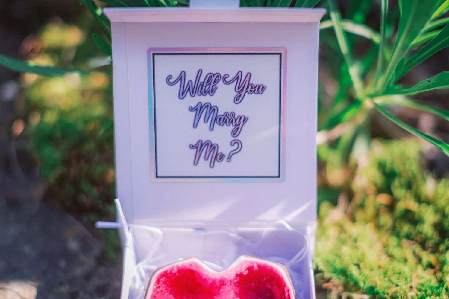 Will You Marry Me Ring Pop Surprise Marriage Proposal SVG, Daddy Has A