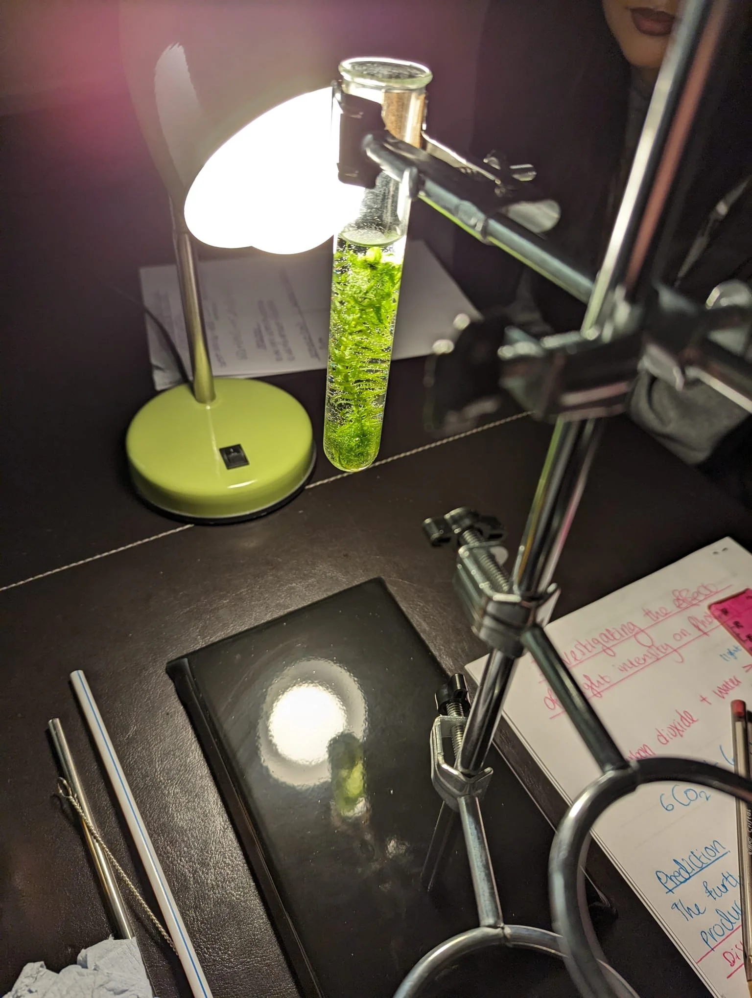 After School Tuition — Alpha Training: Primary & Secondary School Tuition