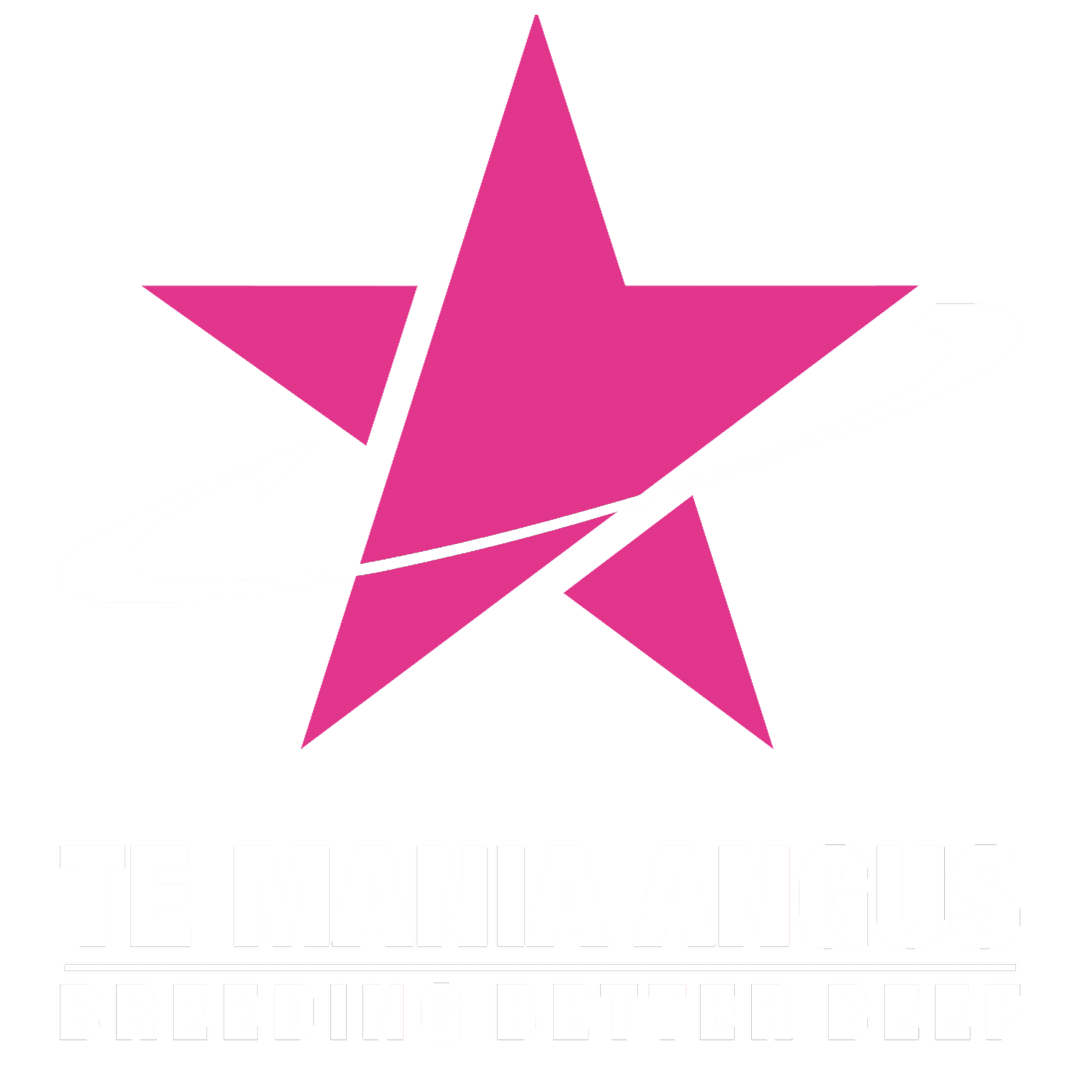 Te Mania Angus Stud