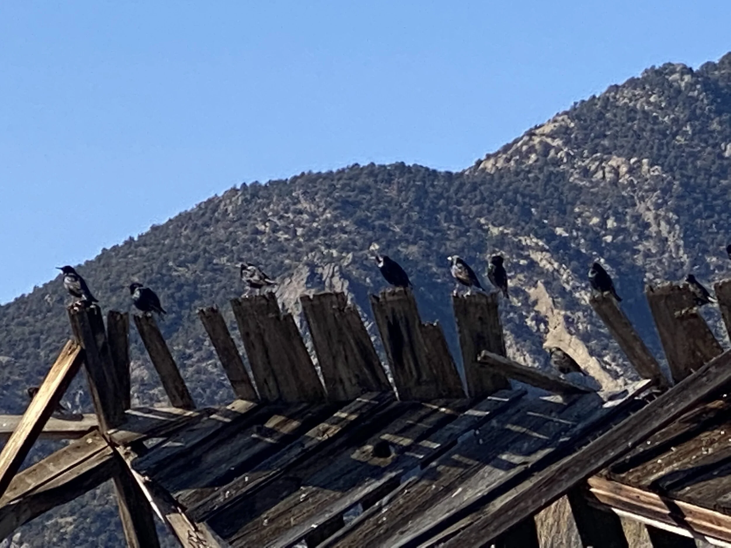 Framing & Mounting — Studio Of Vance