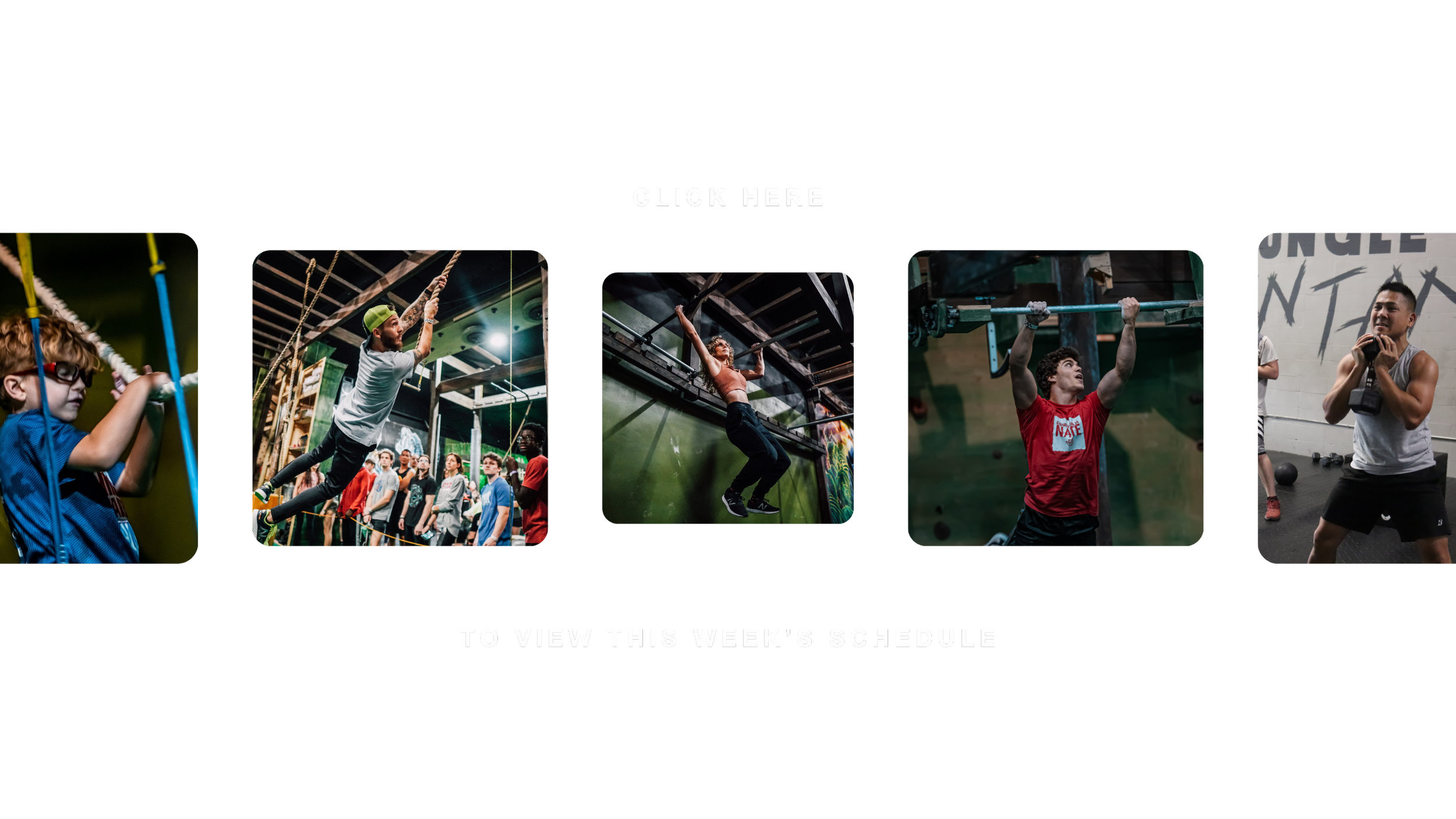 A PREMIERE NINJA GYM