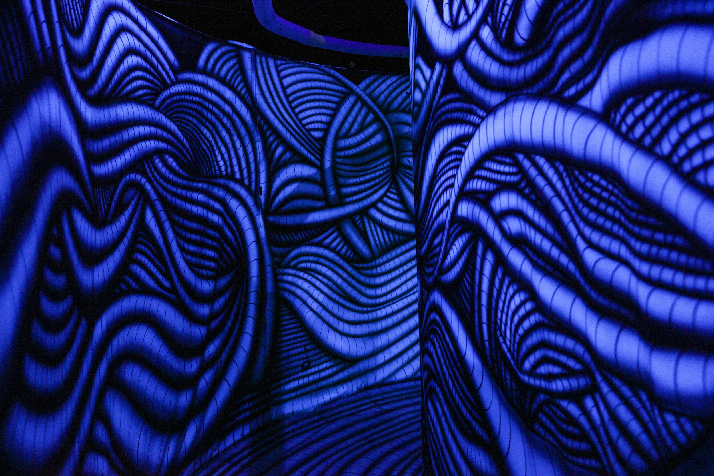The ACE on Broadway — Art Continuum Experience