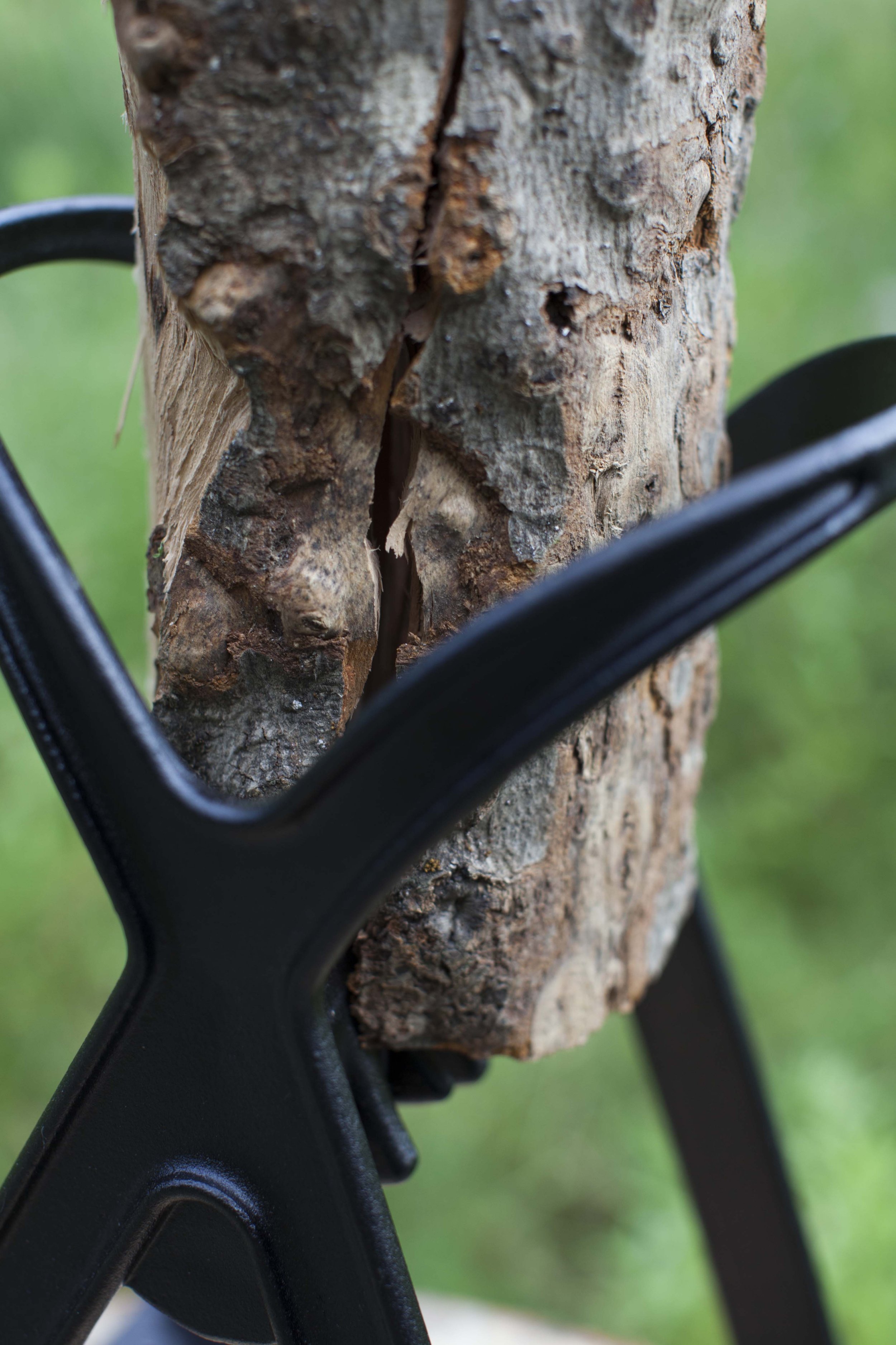 The Best Way to Split Wood for a Fire, According to an Expert — Dad ...