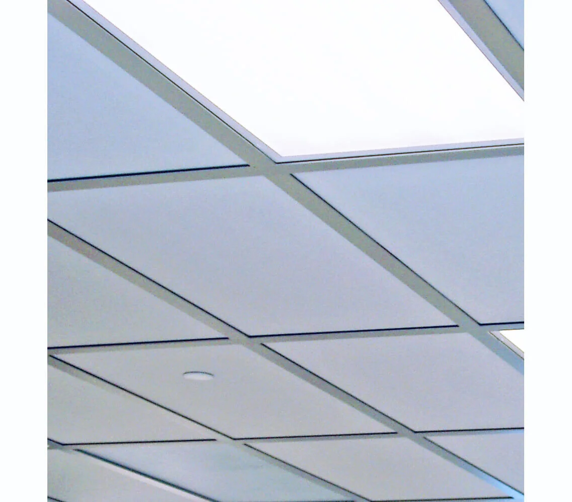 Cleanroom Ceilings: Walkable Ceilings, Panels & Grid Systems