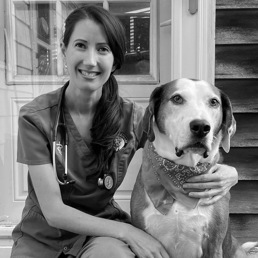 About — Ethical Veterinary