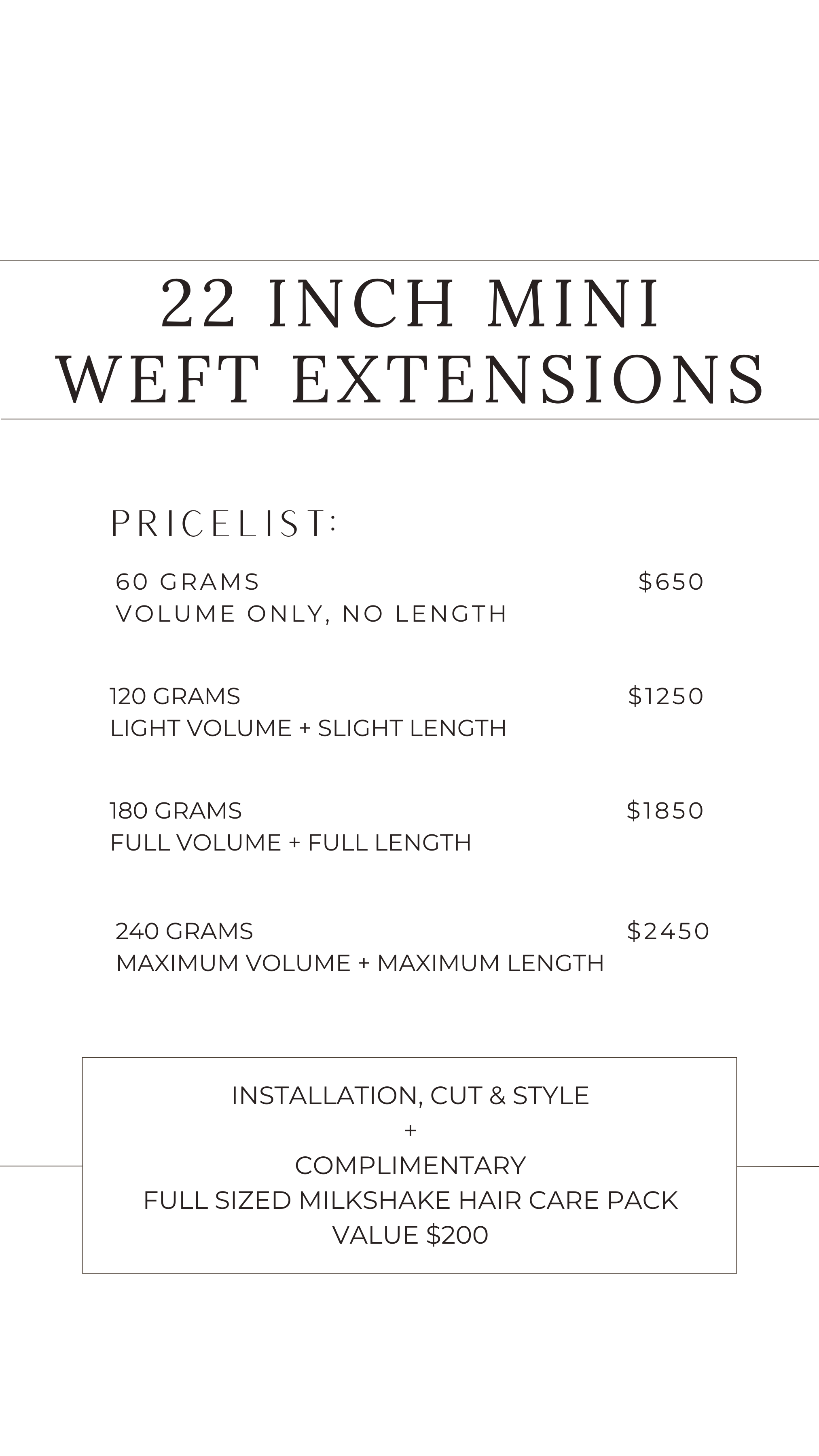 Mini Weft Extensions — Blushington The Salon