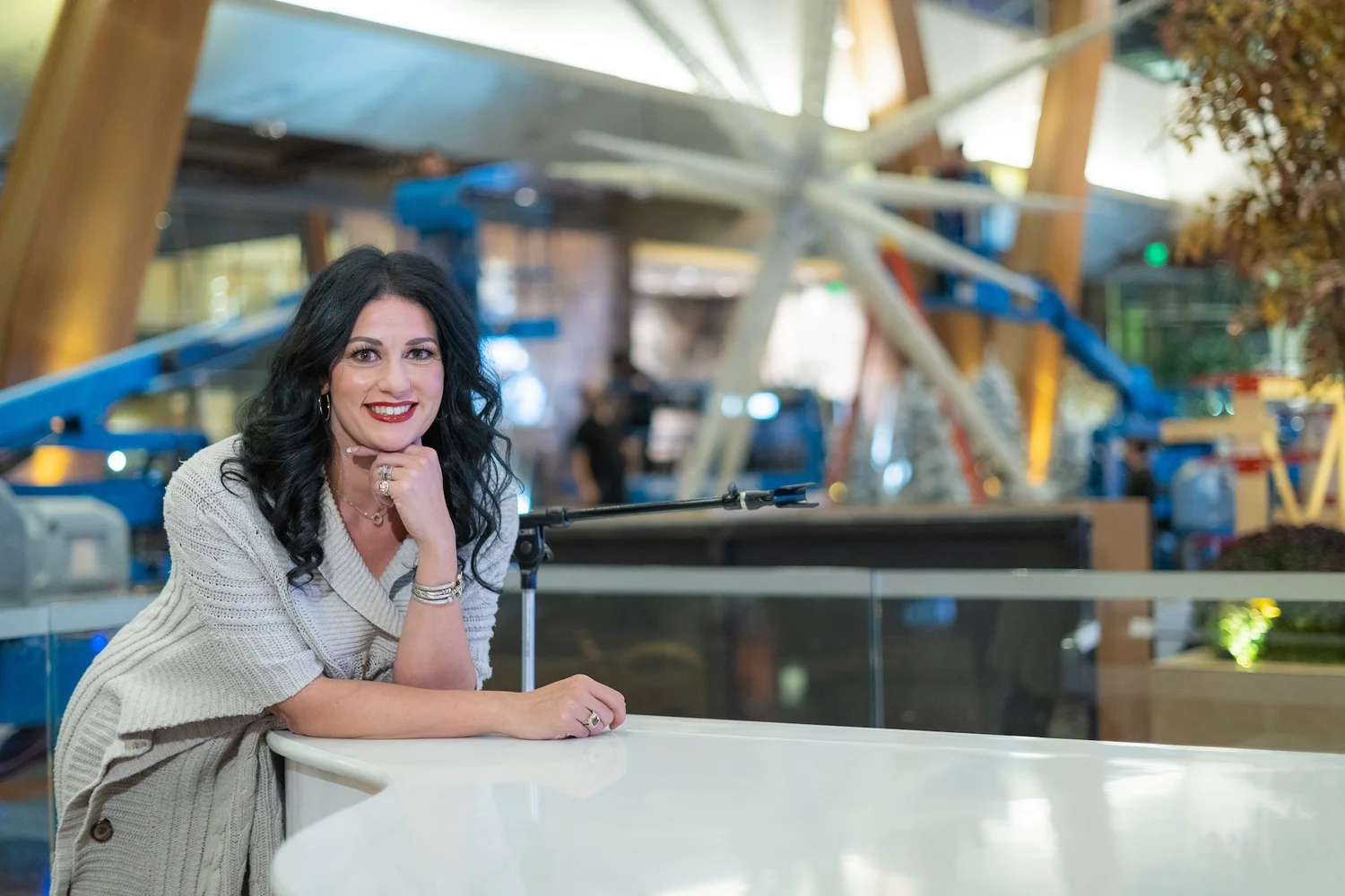 INTERVIEW ABOUT THE ARIA NORTH STAR HOLIDAY DISPLAY 2022 — Las Vegas ...