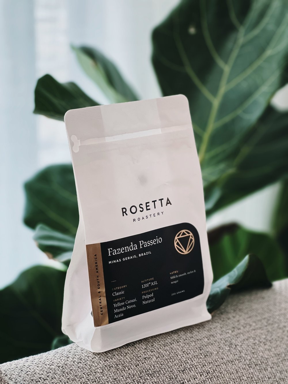 Rosetta Roastery: The Best from Cape Town - the need for coffee ☕
