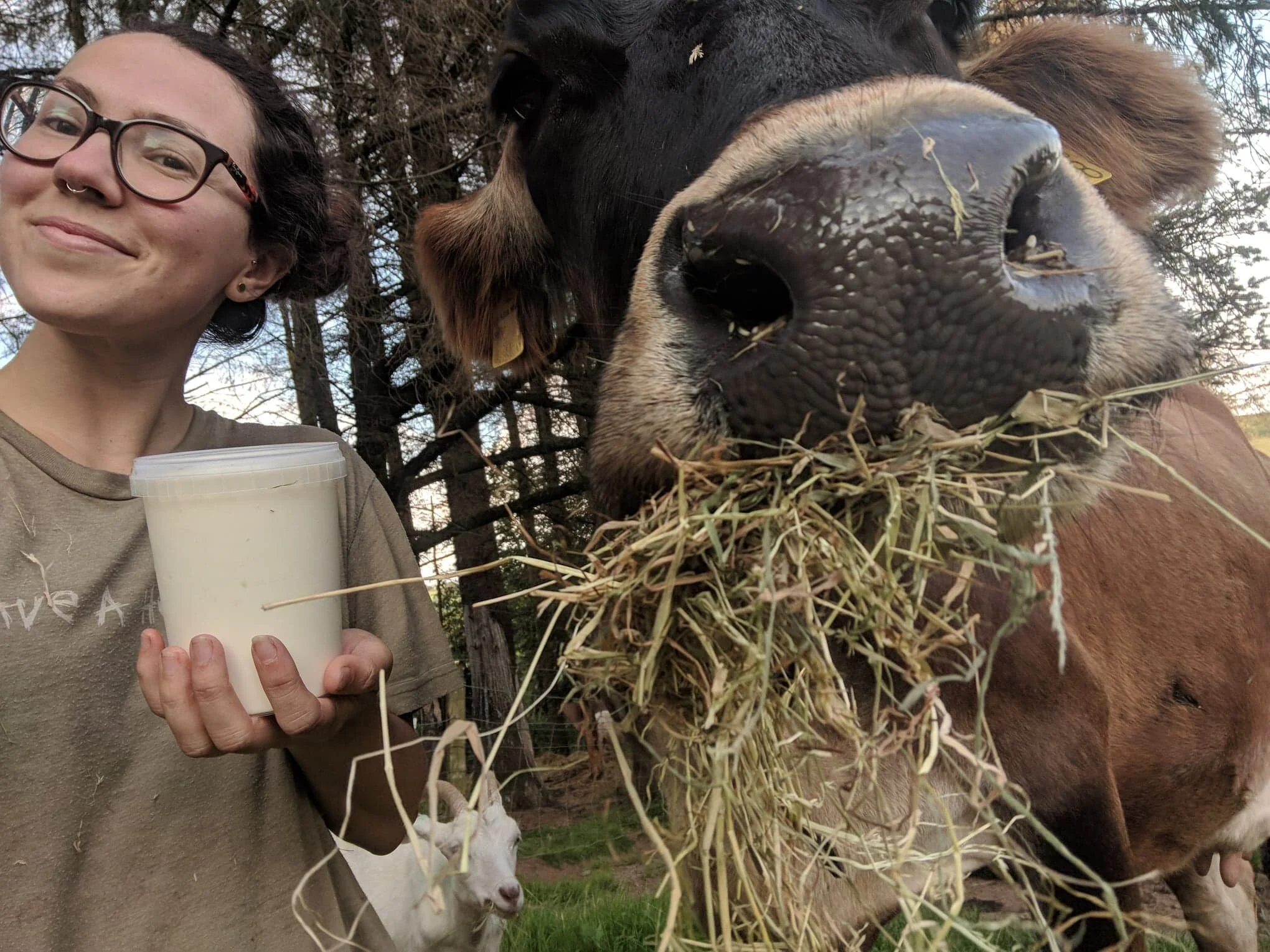 Our Story — Dyfi Dairy