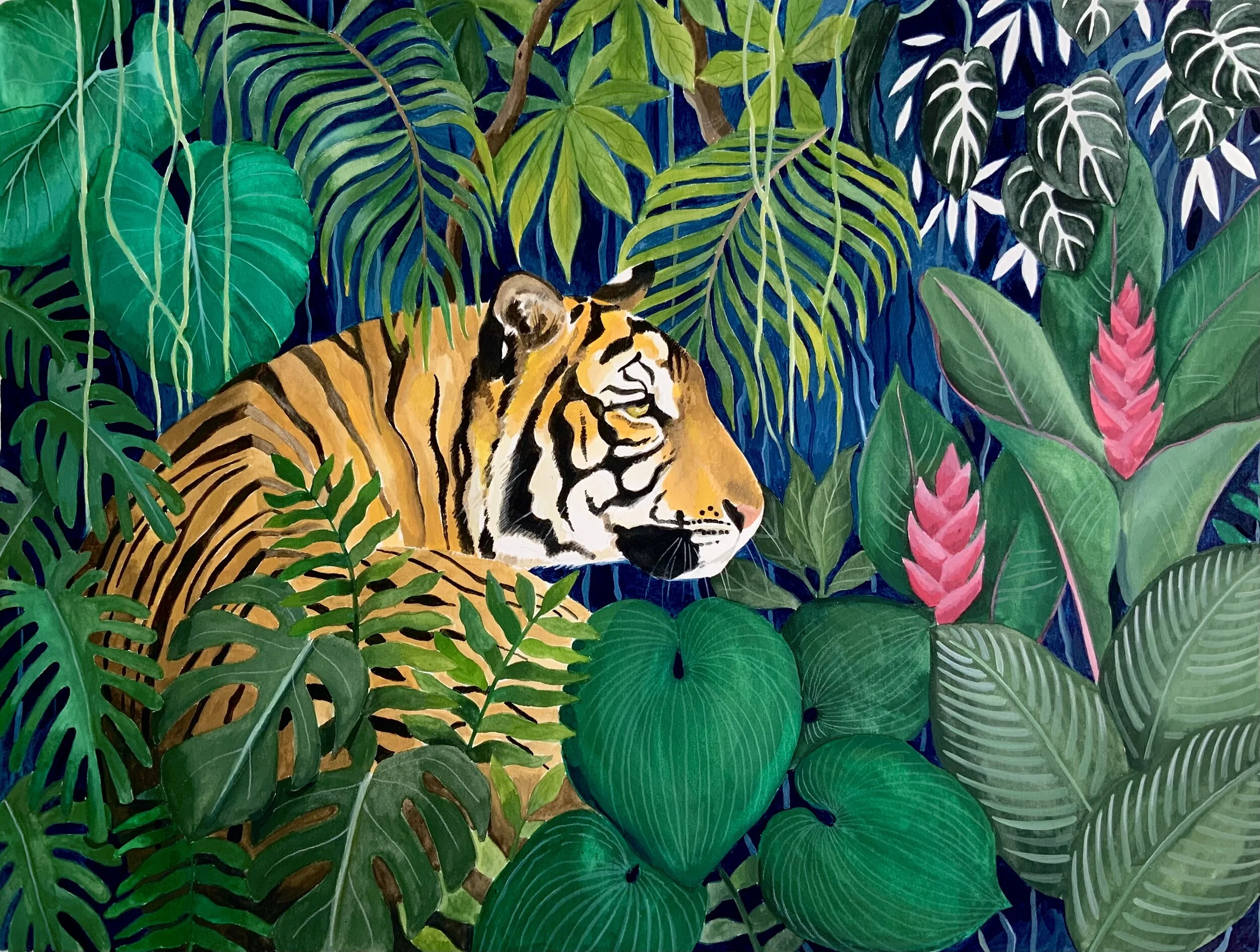 Shop — Bex Parkin Wildlife Artist