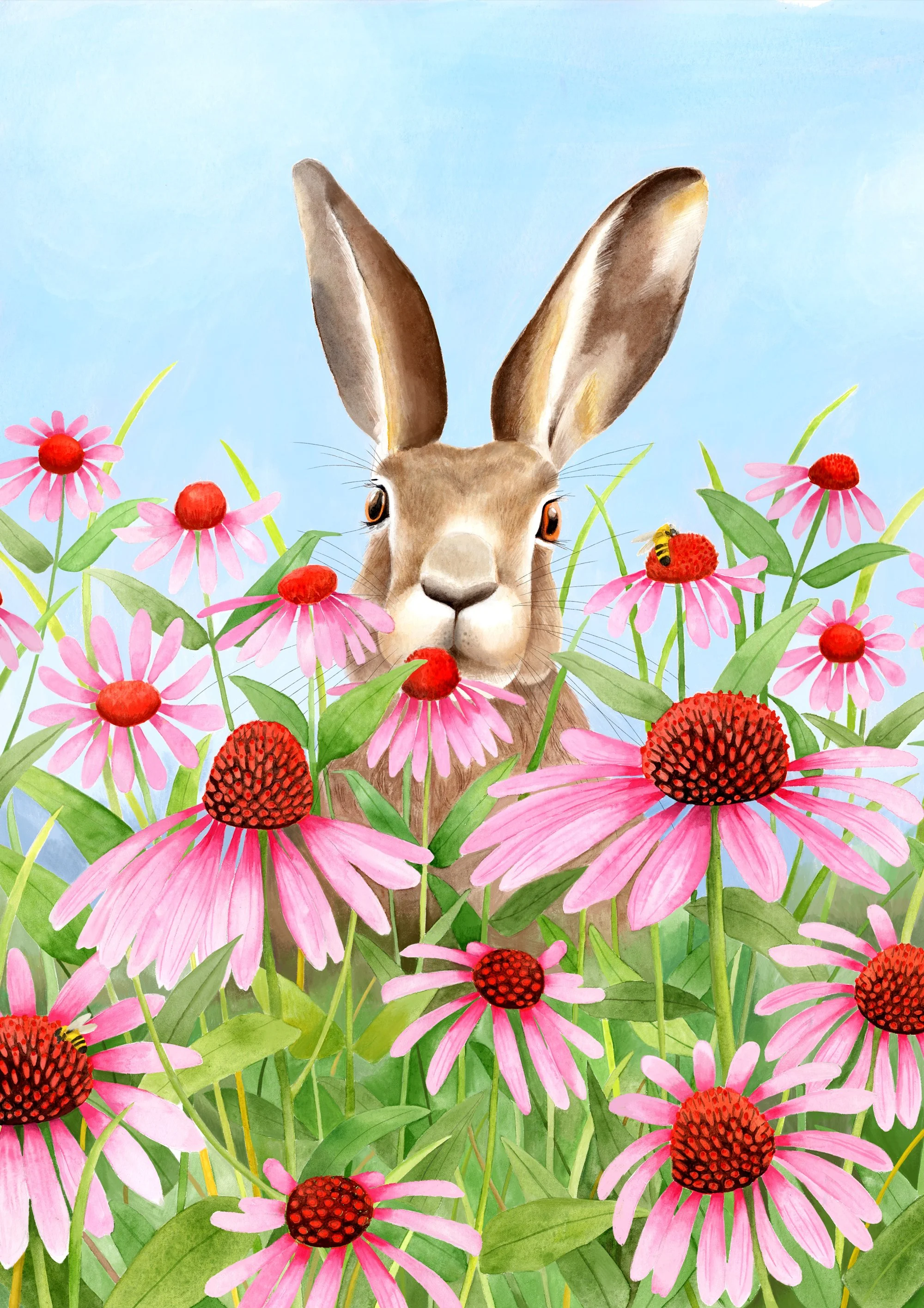 Shop — Bex Parkin Wildlife Artist